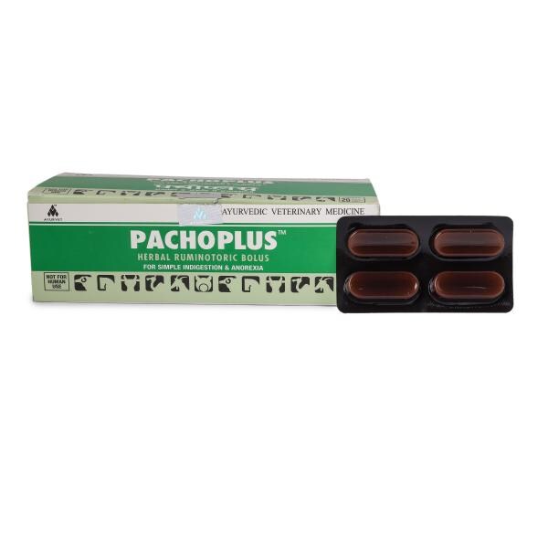 Ayurvet Pachoplus Herbal Rumenoric Bolus for Simple Indigestion ...