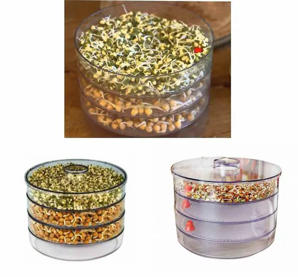 MOSTSHOP Sprout Maker Box Bean Sprouts Maker Hygienic Sprout Making ...