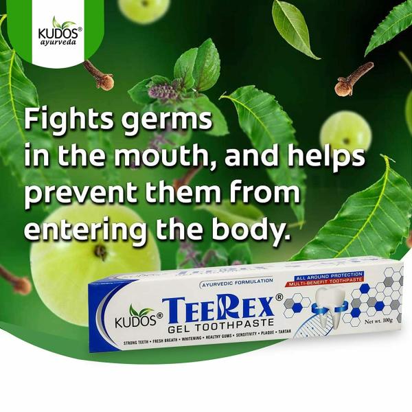 KUDOS AYURVEDA TEEREX GEL TOOTHPASTE 100GM - (PACK OF 3) - JioMart