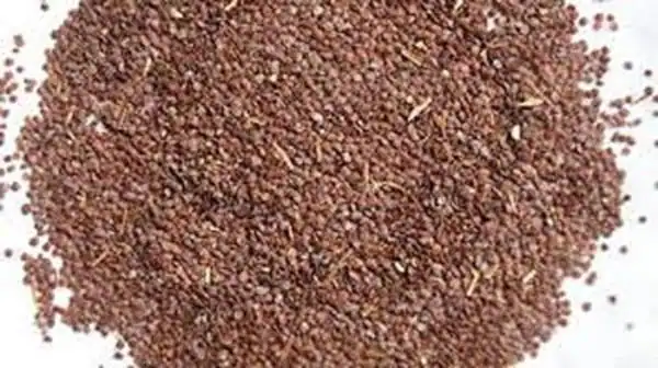 Mgbn The Path For The Healthier Life With Beauty Kokilaksah-Neermulli ...