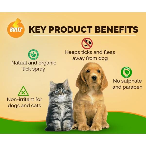 Boltz Dogs And Cats Anti Tick Flea Spray Organic Natural Neem Tulsi 200 ...