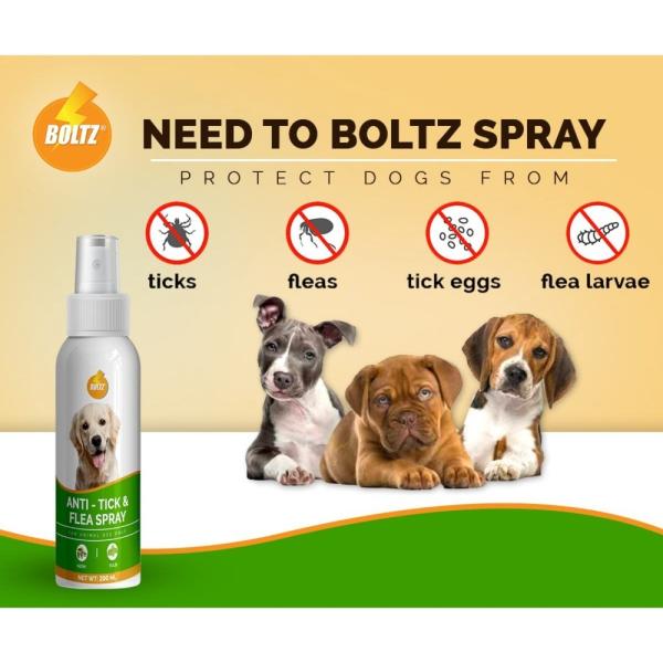 Boltz Dogs And Cats Anti Tick Flea Spray Organic Natural Neem Tulsi 200 ...