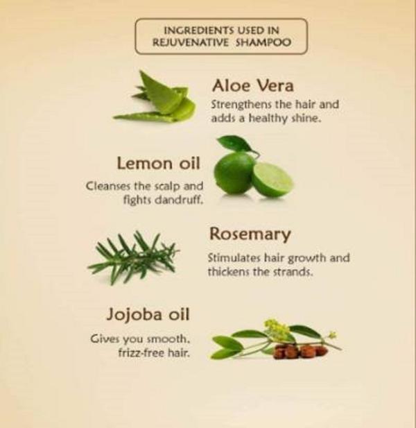 Ancient Living Rejuvenative Shampoo - JioMart