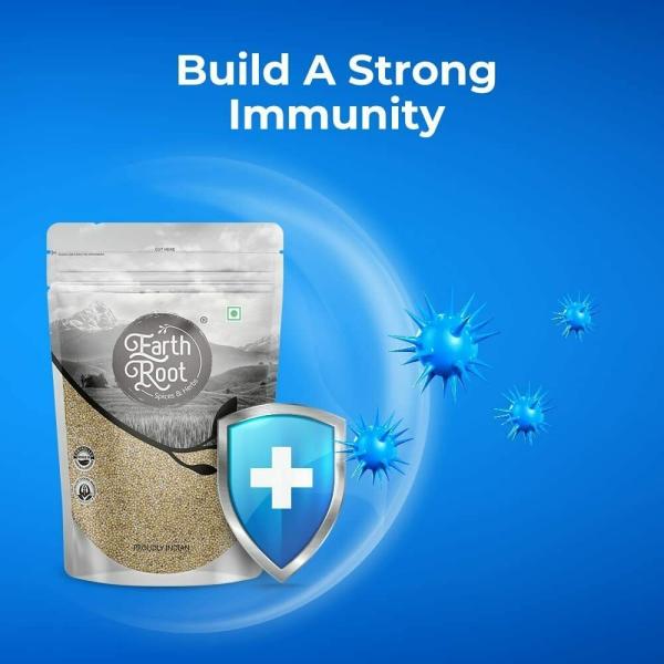 Earthroot Foxtail Millet 1kg - JioMart