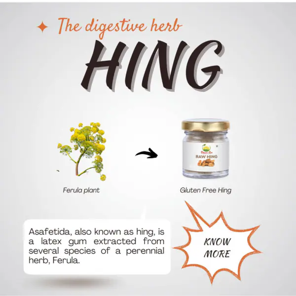 Dawn Lee Raw Hing 20 GM-Gluten Free Hing-Premium Hing Asafoetida Powder ...