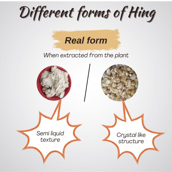 Dawn Lee Raw Hing 20 GM-Gluten Free Hing-Premium Hing Asafoetida Powder ...