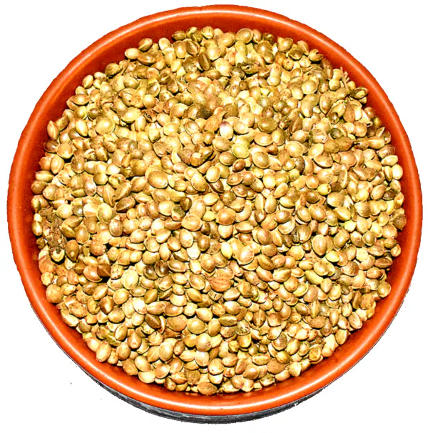 Myor Pahad's Immunity Boosting Himalayan Ancient Hemp Seed / Bhaanga ...