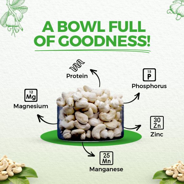 nutndiet Fresh Crunchy Economy Super Small Cashews 1kg (500g x 2 Packs ...