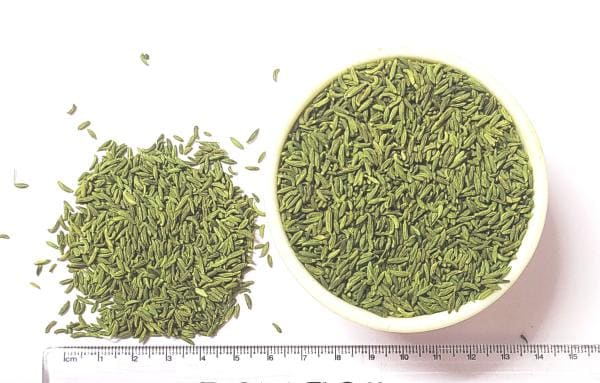 Foodcan Fennel Seeds Small | Thin Green Barik Saunf | Lucknowi Sounf ...