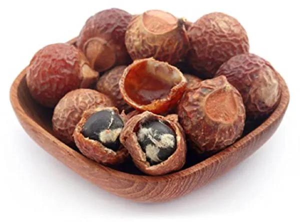 Veganic Organic Whole Dried Reetha/ Ritha | Soap Nuts | Aritha/ Arith ...