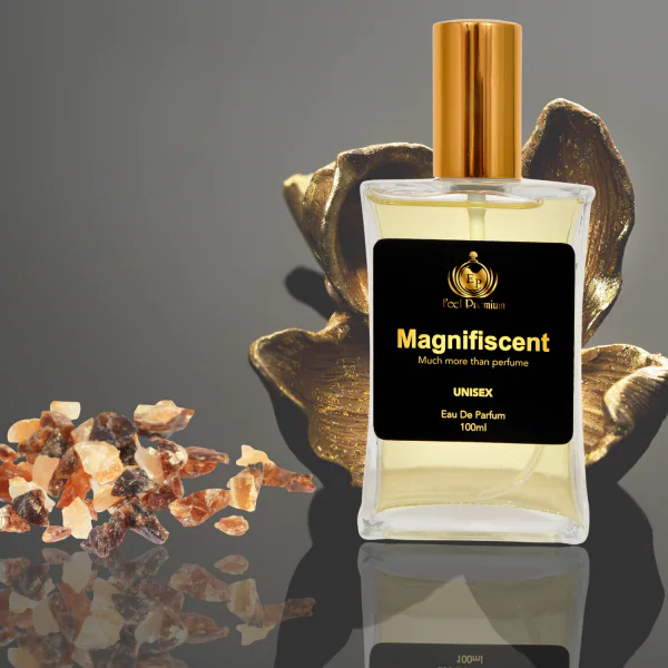 Europa Products MAGNIFISCENT Perfume Spray for MAN & WOMAN (100ML Gift ...