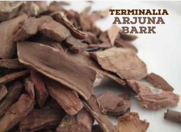 SS520 Arjun Chal 900g. Terminalia Arjuna Bark Arjuna Chettu Beradu ...