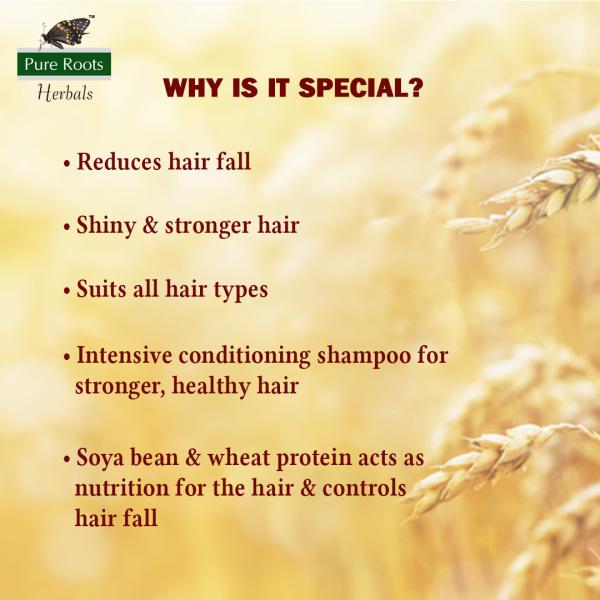 Pure Roots Herbals Protein Shampoo 500ml Combo Pack Get 65ml Neem Face ...