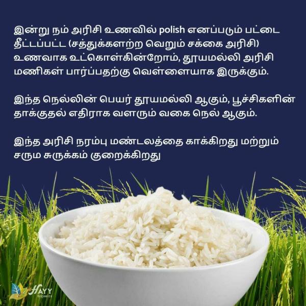 HayyFoods Thooyamalli Rice (Diabetic Friendly) (Raw Rice), (Kaikuthal ...