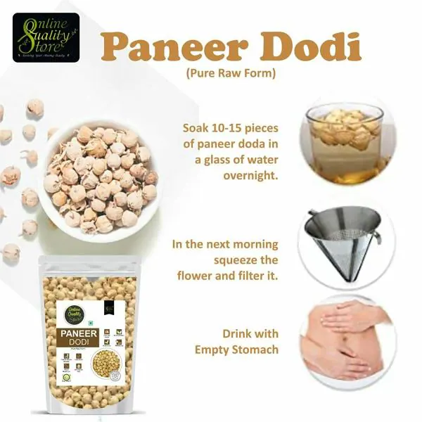 Online Quality Store Paneer Dodi -900gm| Paneer Doda - JioMart