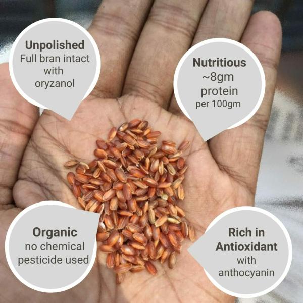 Brightcrop Himalayan Red Rice | Himalayan | Sathi | Raktashali ...