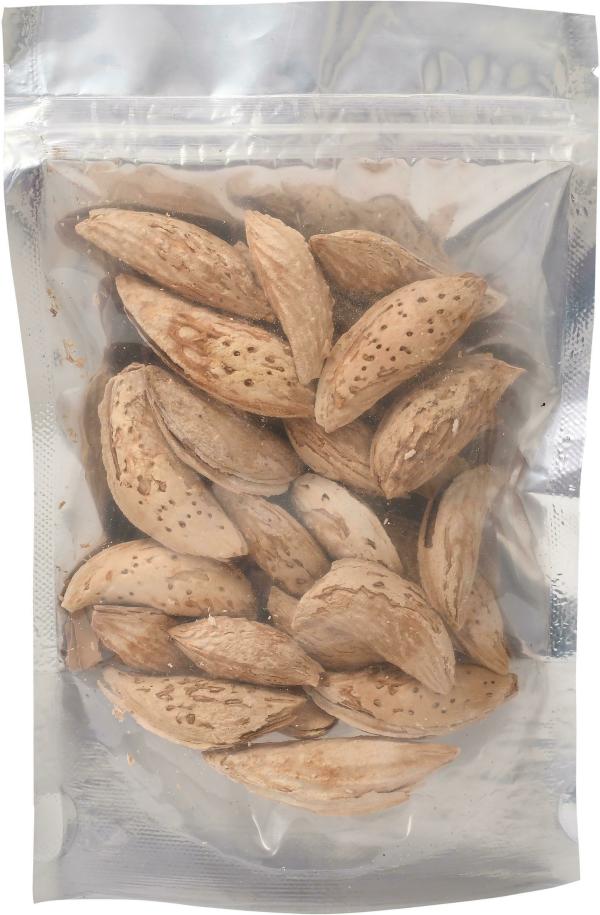 GOLDEN RESOURCES Inshell Sitabari Badam Almonds 500 g - JioMart