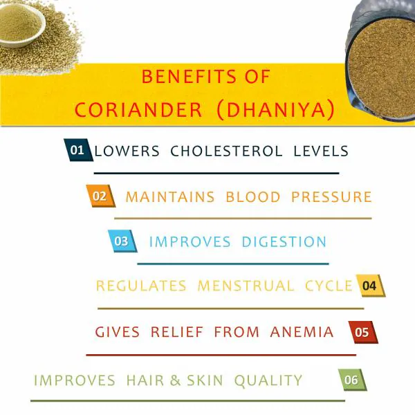 Kush Gold Coriander Seeds Whole / Khada Dhaniya / Sabut Dhania / Whole ...