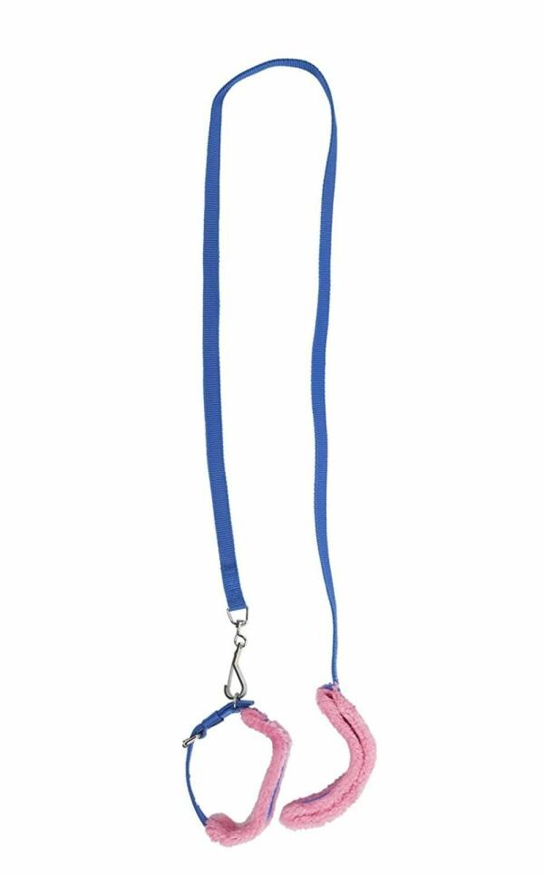 FURRY TAILS Dog Neck Collar Belts and Leash Set, Adjustable Free Neck ...