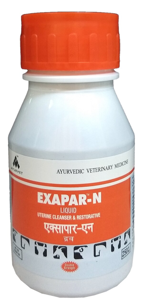 Ayurvet Exapar N Medicine for Animals Treatment for Cow Buffalo Mare ...
