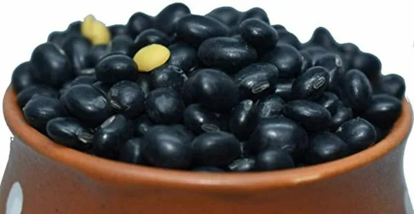 Myor Pahad's Himalayan Unpolished Bhat Ki Dal ( Kala Bhatt / Black ...