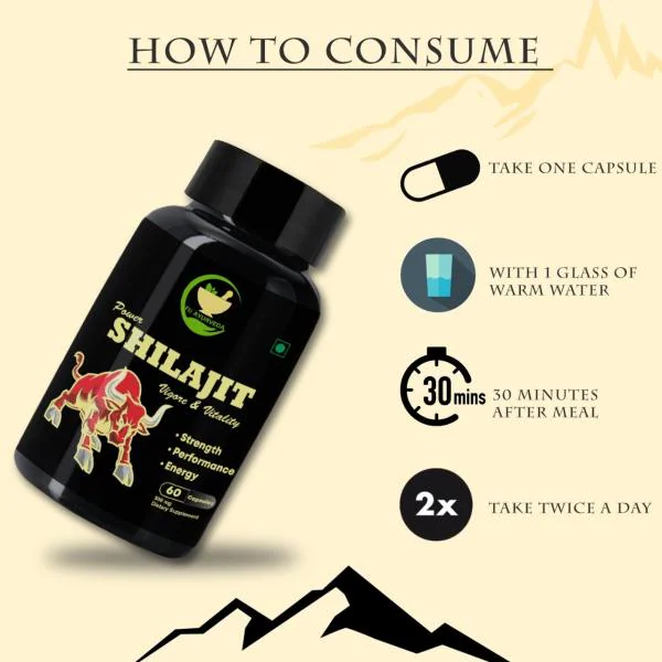 FIJ AYURVEDA Power Shilajit/Shilajeet Capsule| Shilajit| Shilajeet - 500mg 60 Capsules (Pack of ...