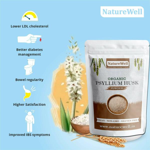 Naturewell Sat Isabgol- Psyllium Husk, 1 Kg - JioMart