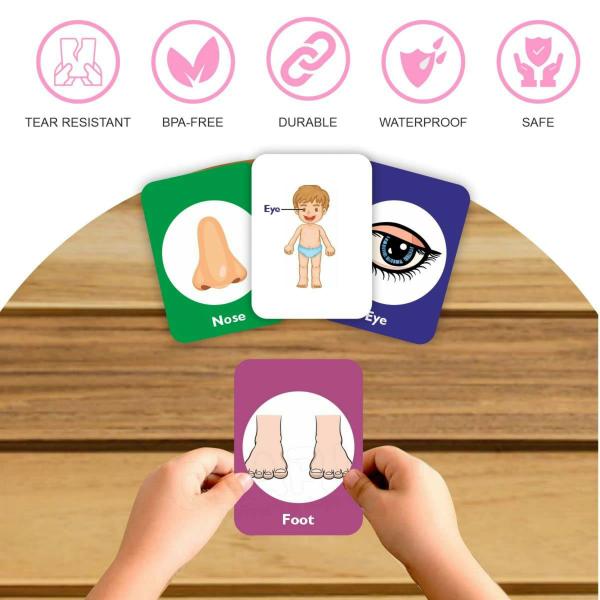 Clapjoy Multicolor Double Sided Flash Cards For Kids -Body Parts - 24 ...