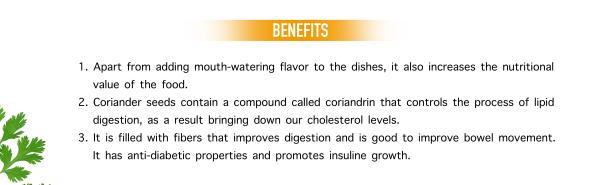 FARMUP Coriander Seeds, (Sabut Dhaniya | Whole Dhana, 500g Pack of 1 ...