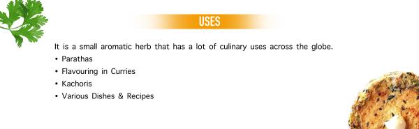 FARMUP Coriander Seeds, (Sabut Dhaniya | Whole Dhana, 500g Pack of 1 ...