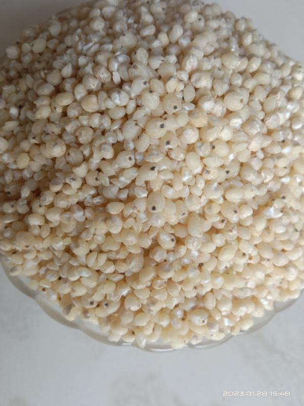 Uzhavan Unavu - Organic - White cholam / Sorghum / Saphed Cholam ...