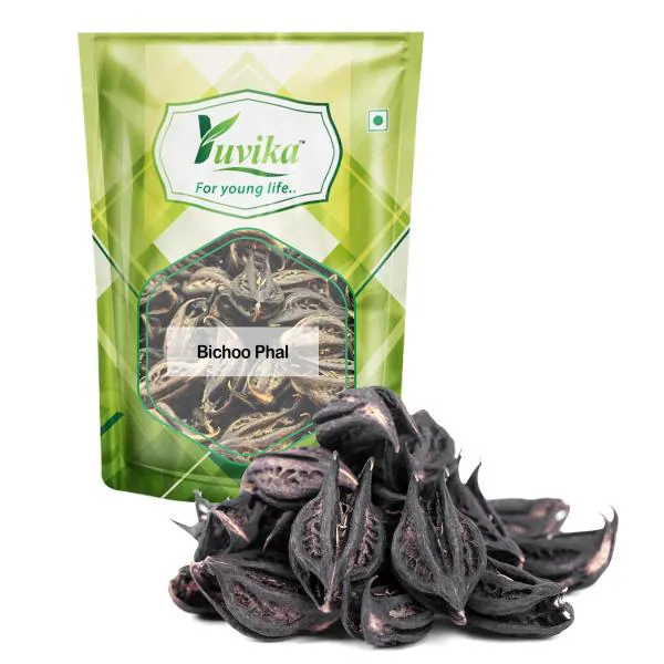 YUVIKA Bichoo Phal - Bichhu Phal - Bicchu Fal - Martynia Annua ...