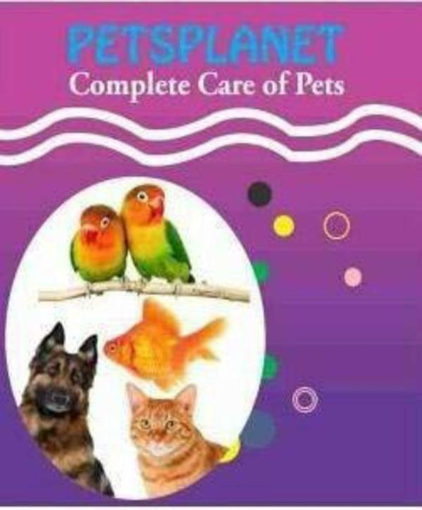 PSK Pet Mart Dogs Harness (Red) - JioMart