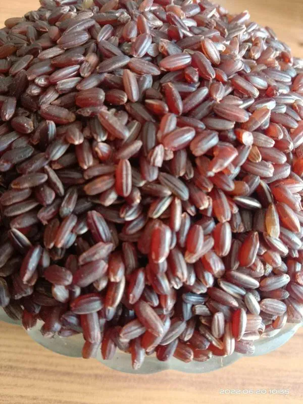 Uzhavan Unavu - Organic Traditional Vaadan Samba Rice (Common name as ...