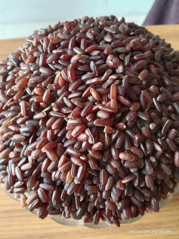 Uzhavan Unavu - Organic Traditional Vaadan Samba Rice (Common name as ...