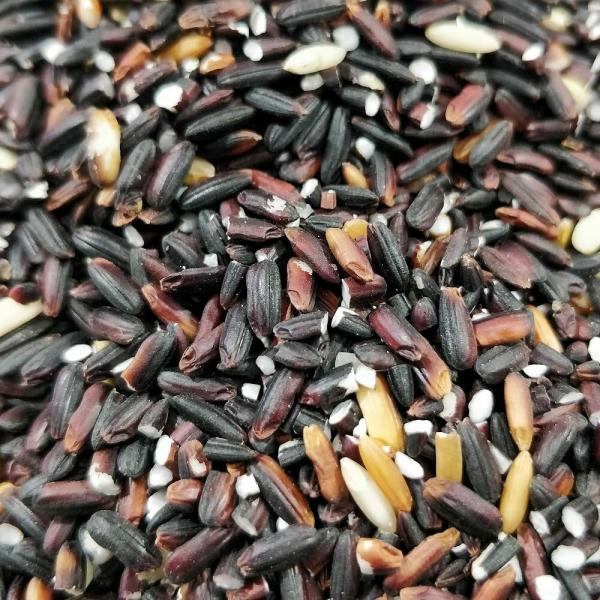 GiTAGGED Black Rice, Chak Hao, Forbidden Rice of Manipur - 1kg - JioMart