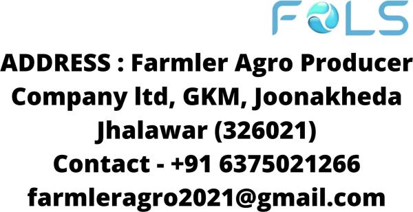 FOLS ORGANIC SOYABEAN | SOYBEAN 400 GM - JioMart