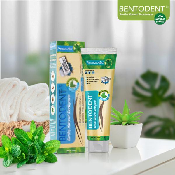 Bentodent Premium Mint Natural Toothpaste - SLS free 100g (Pack of 2 ...