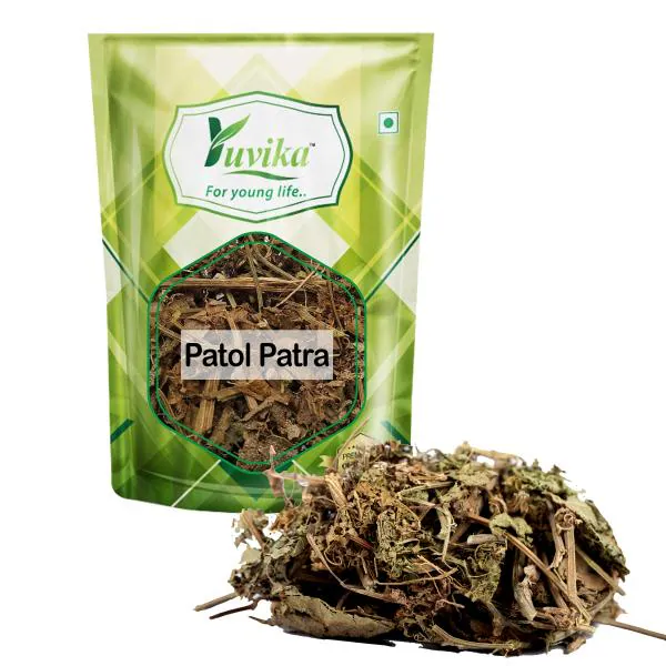 YUVIKA Patol Patra - Patola - Trichosanthes Dioica - Pointed Gourd (200 ...