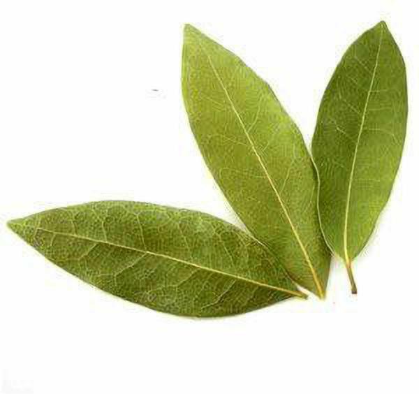 Tez Patta - 200 g - JioMart