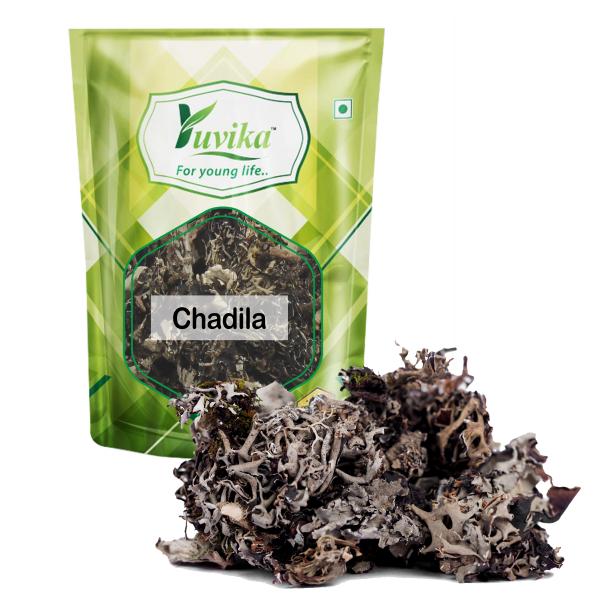 YUVIKA Chadila - Pattar Phool - Permalia perlata - Stone Flower (100 ...