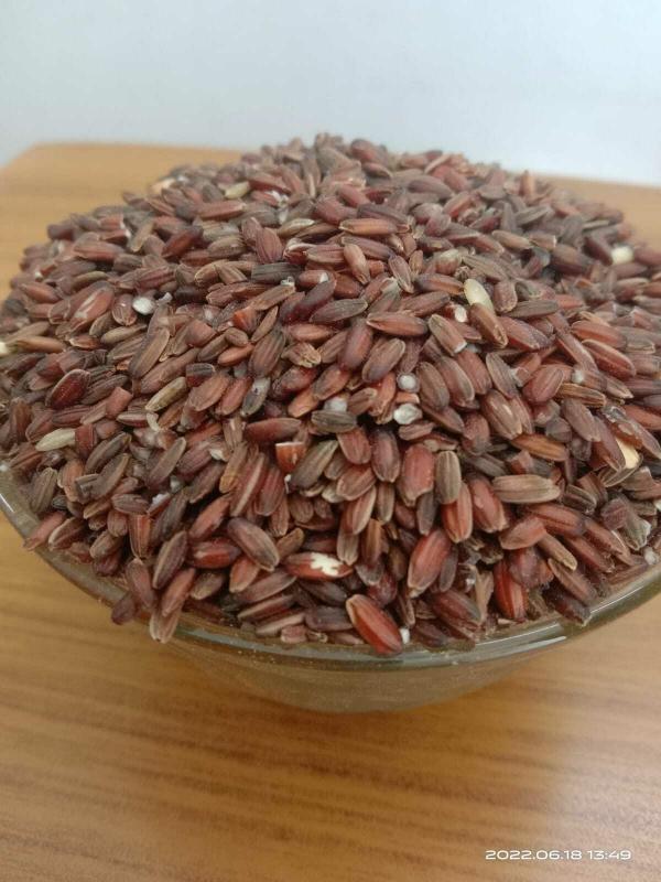 Organic Traditional Poongar Rice(Common Name as a Red Rice) 1 year Old ...