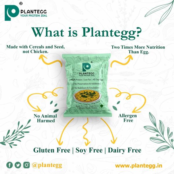 Plantegg - Plant based egg protein in masala omelette form | 45g protein | Soy free | 15g x 10 ...
