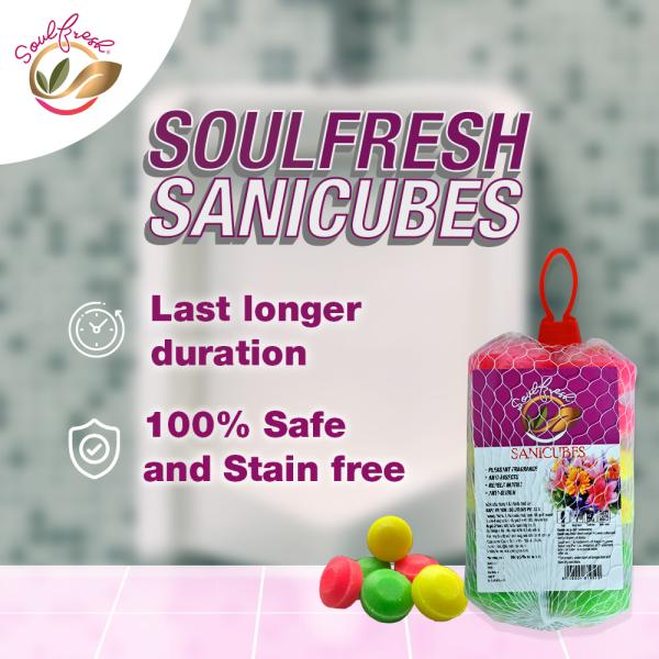 SOULFRESH Sanicubes Bathroom Freshener, Toilet, Urinal Cubes, Urinal ...
