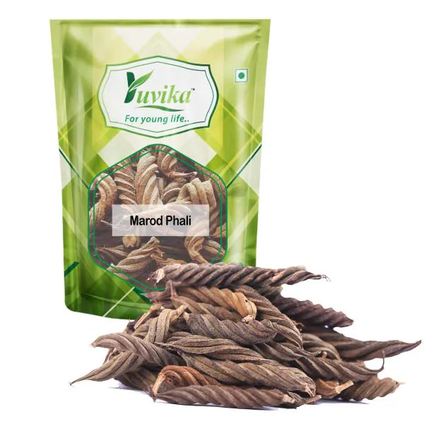 YUVIKA Marod Phali - Marori - Helicteres Isora - Avaitini Screw Beans ...