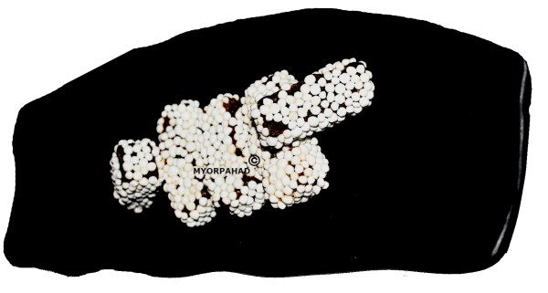 Uttarakhand Almora's Famous Desi Ghee's Baal ( Bal ) Mithai | Indian ...