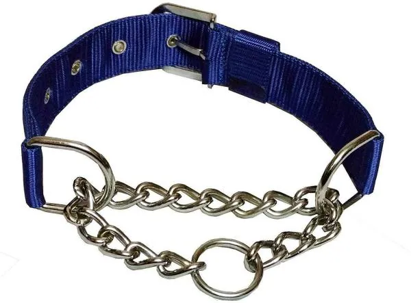PSK Pet Mart Dogs Chain Collar (Multicolor) - JioMart