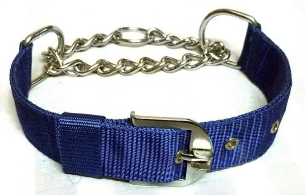 PSK Pet Mart Dogs Chain Collar (Multicolor) - JioMart