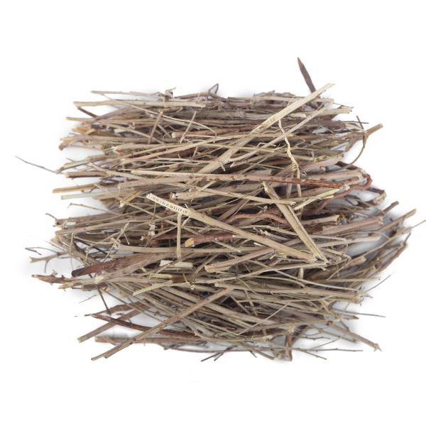 YUVIKA Bhumi Amla - Bhoomi Awla - Phyllanthus Niruri - Fillanto Niruhi ...