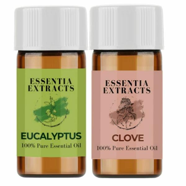 Essentia Extracts Combo of Eucalyptus and Clove Essential Oil, 10ML ...